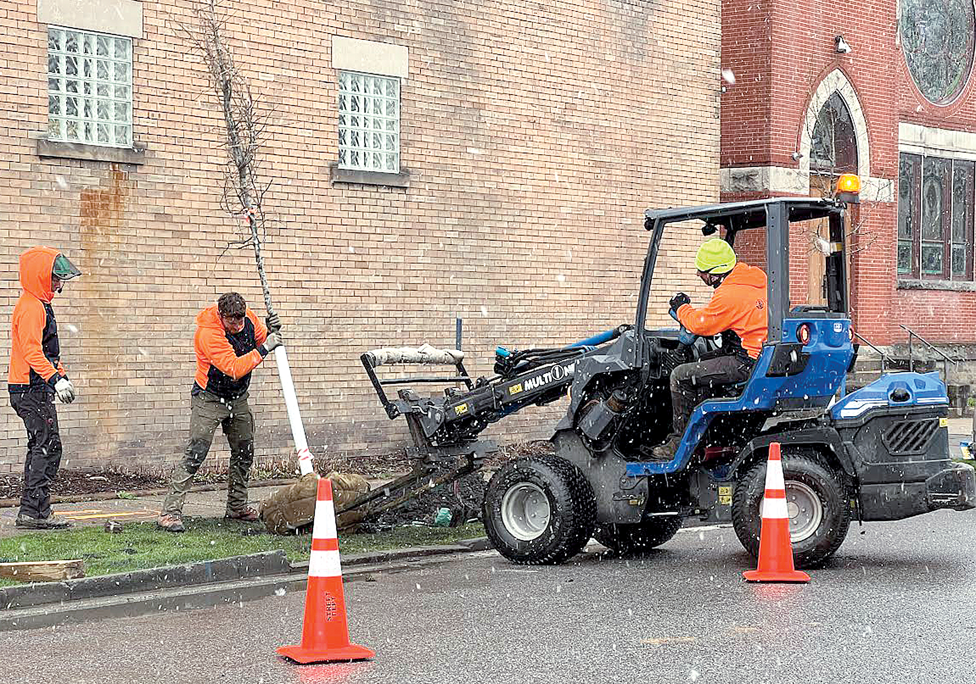 Project planting trees in Elkins | News, Sports, Jobs - The Intermountain